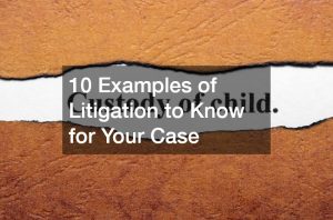 10 Examples of Litigation to Know for Your Case - Delaw Office